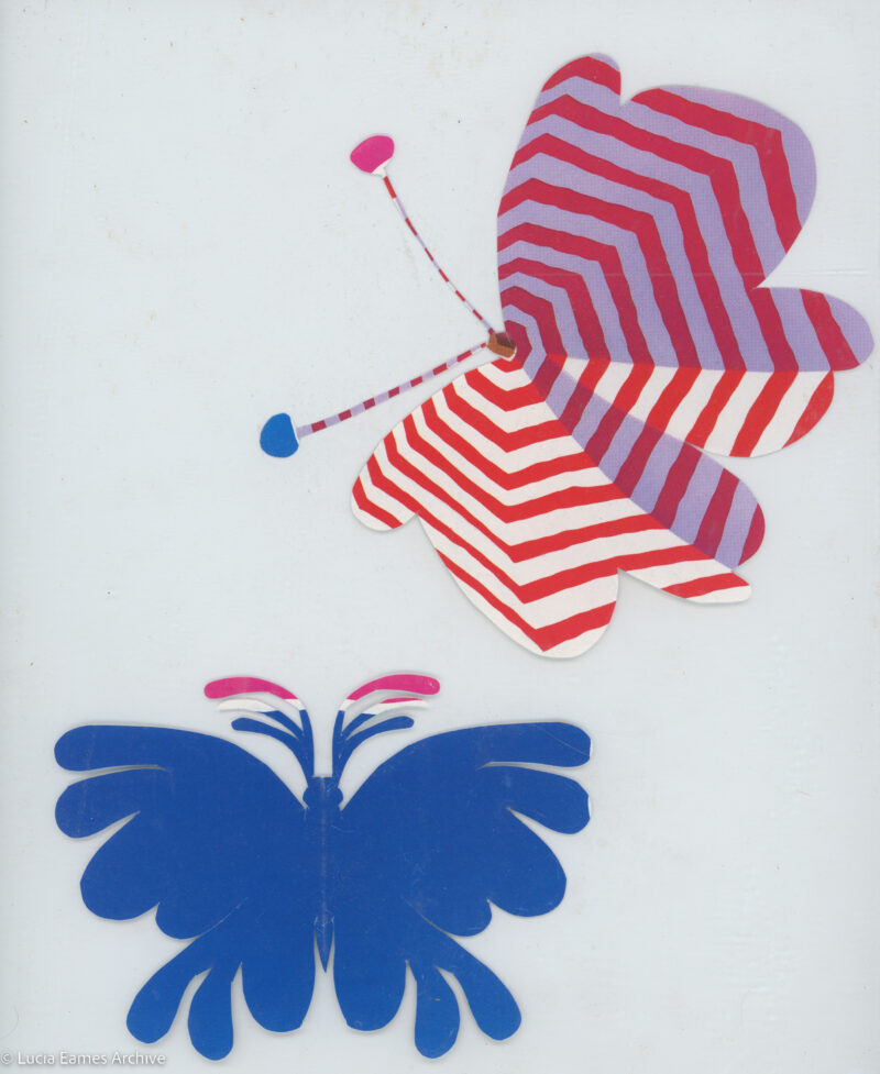Butterflies - Lucia Eames Artwork