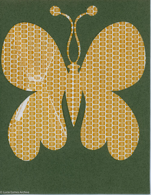 Butterflies - Lucia Eames Artwork