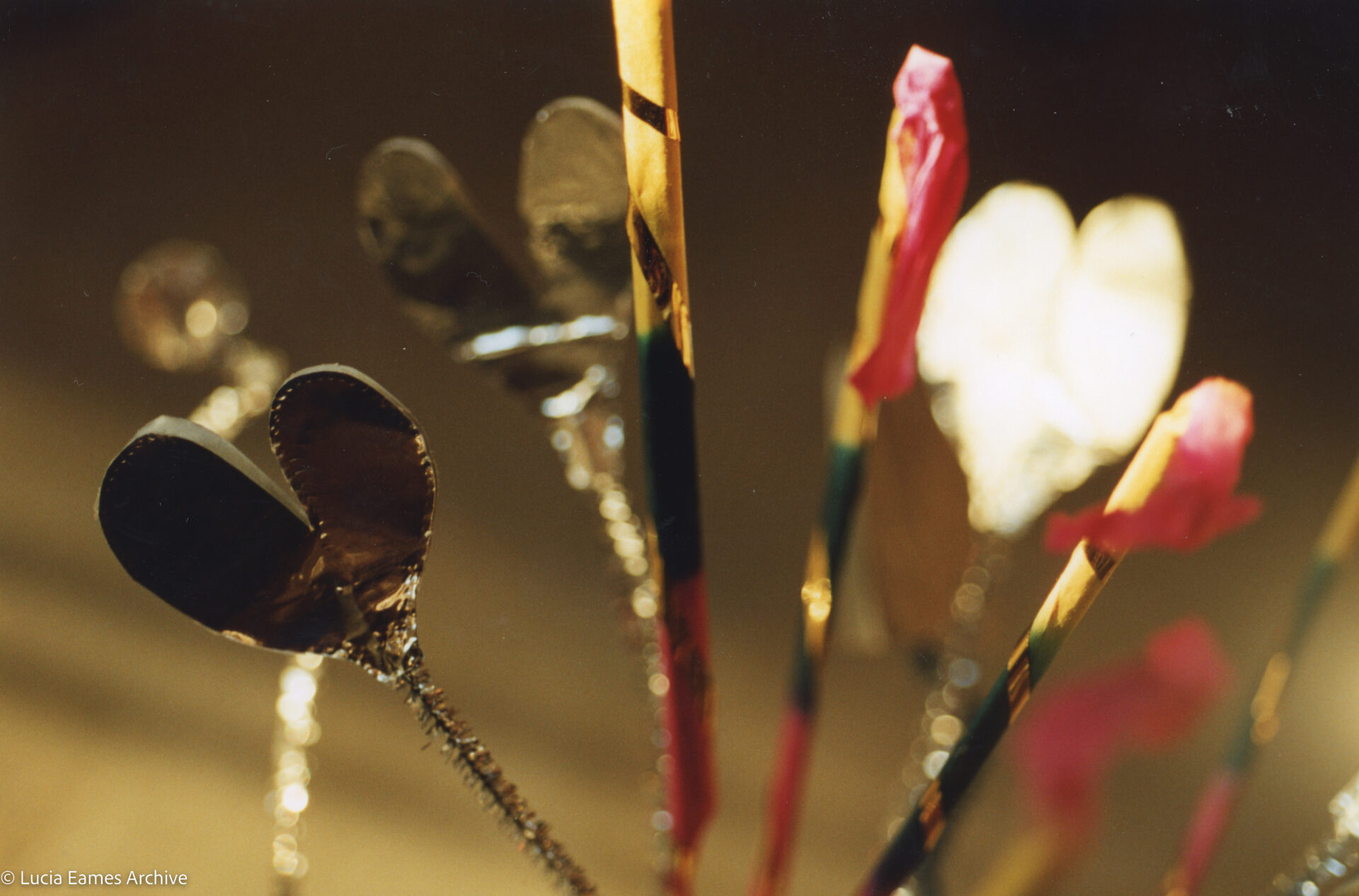 Creator By Nature - Lucia Eames Artwork